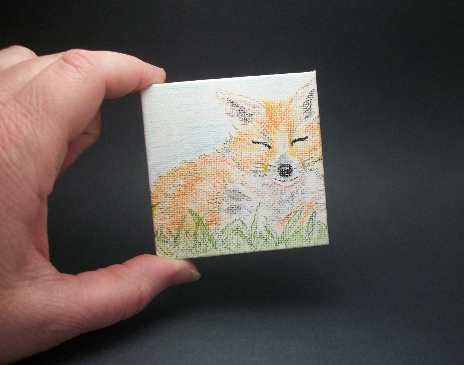 Sleeping Fox Drawing on Miniature Canvas Colored Pencil Tiny Art Cute ...